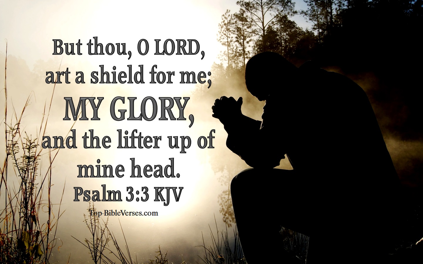 Psalm 3:3 KJV Inspirational Bible Verse Images | Bible Quotes