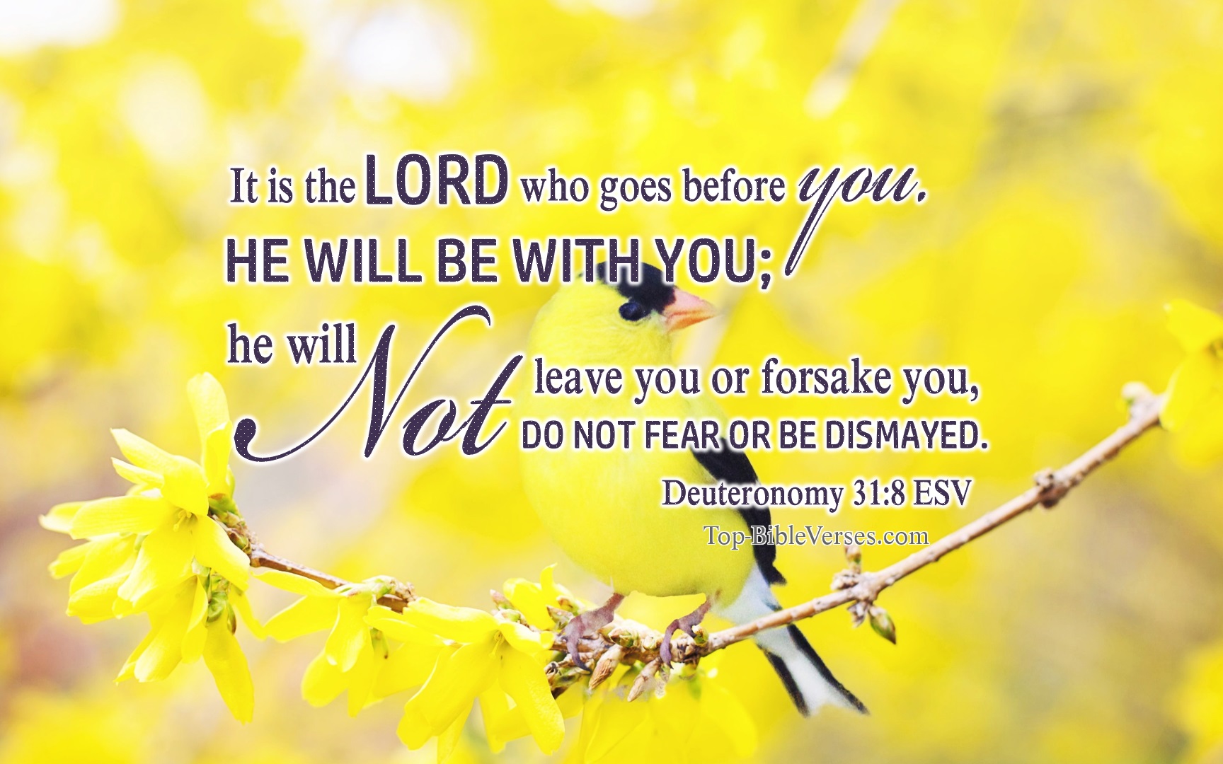 Deuteronomy 31:8 ESV Inspirational Bible Verse Images | Bible Quotes