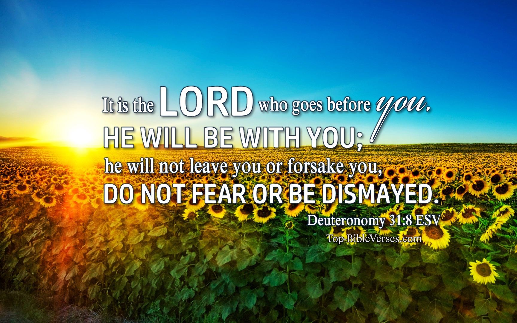 Deuteronomy 31:8 ESV Inspirational Bible Verse Images | Bible Quotes