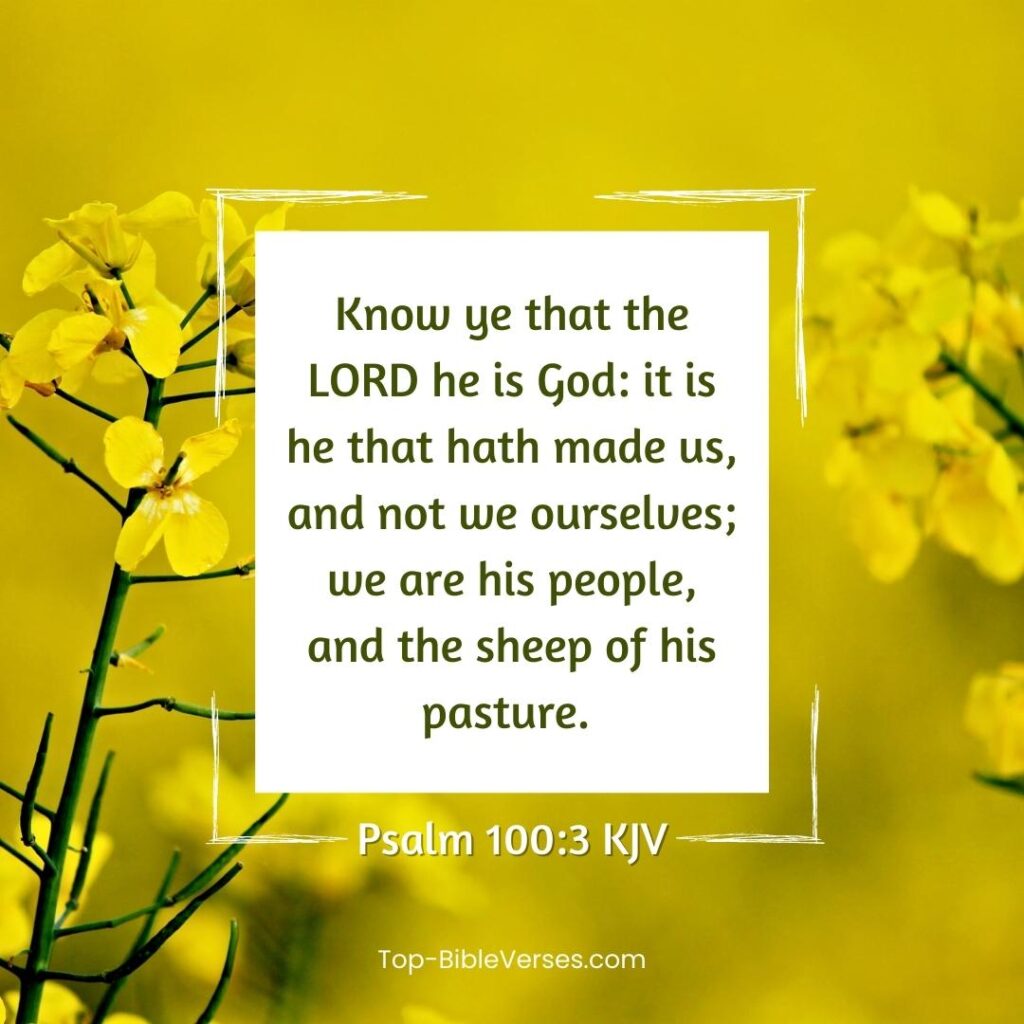 Psalm 100:3 DP Images